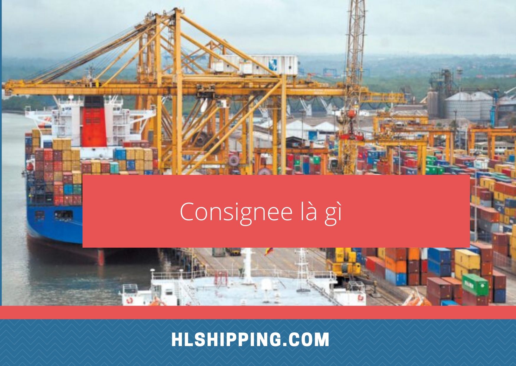 Consignee là gì? Hiểu rõ hơn về Consignee - HL Shipping