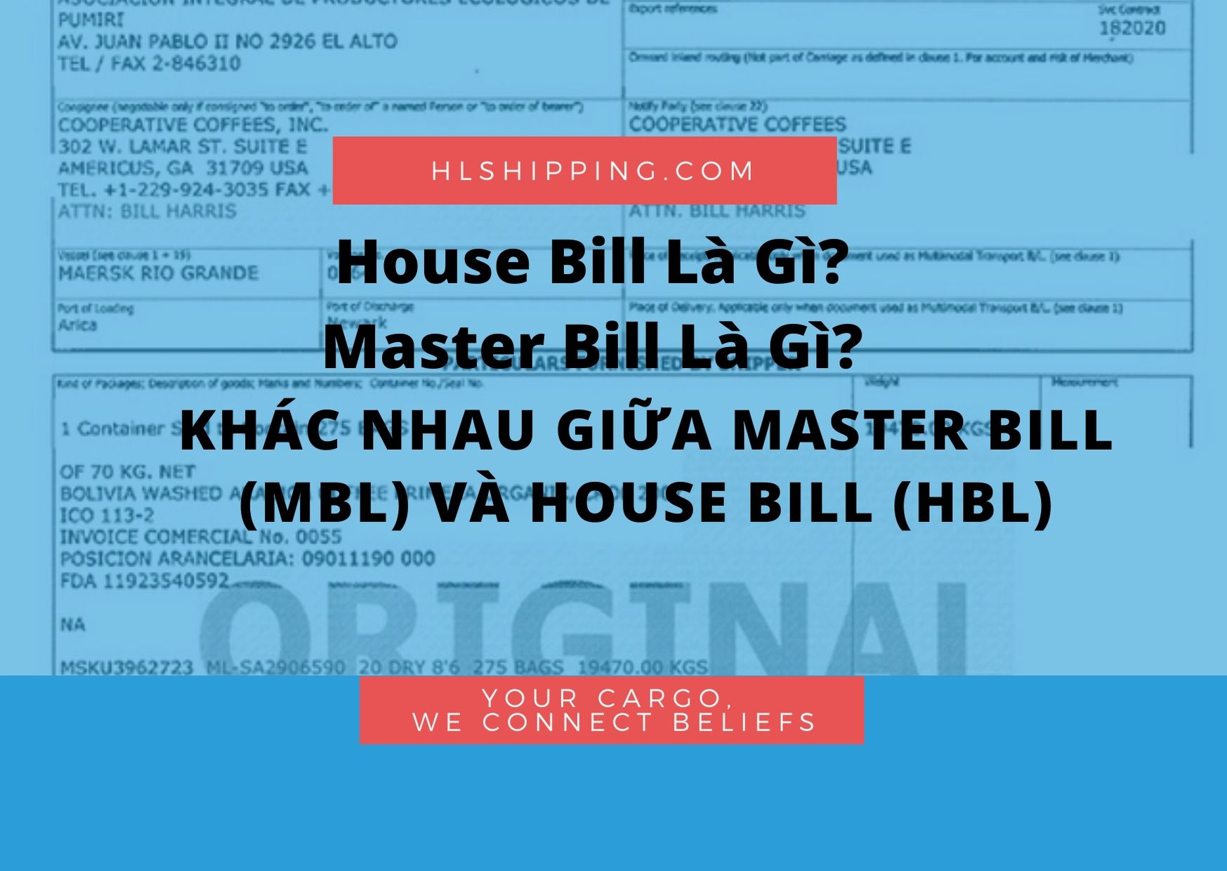 House Bill Là Gì?Master Bill Là Gì? Phân biệt giữa 2 loại - HL Shipping