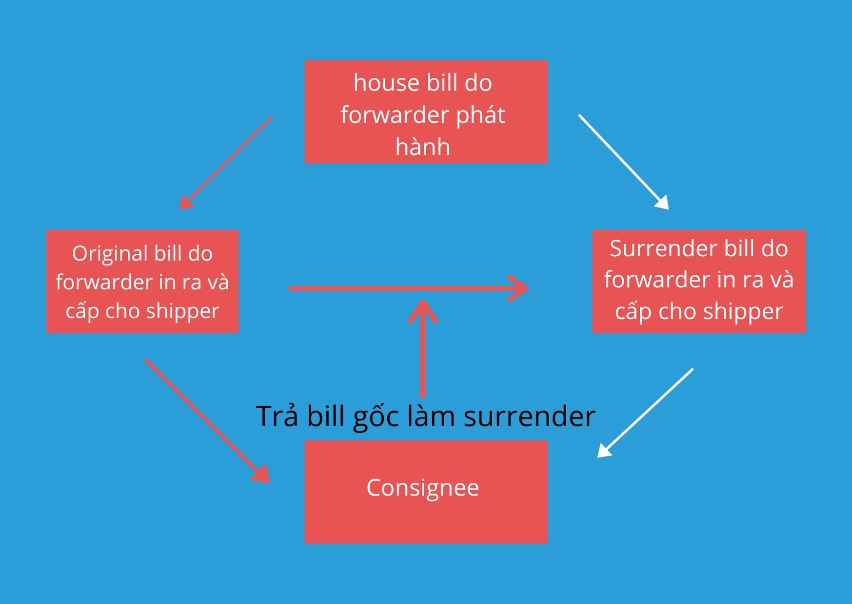 House Bill Là Gì?Master Bill Là Gì? Phân biệt giữa 2 loại - HL Shipping