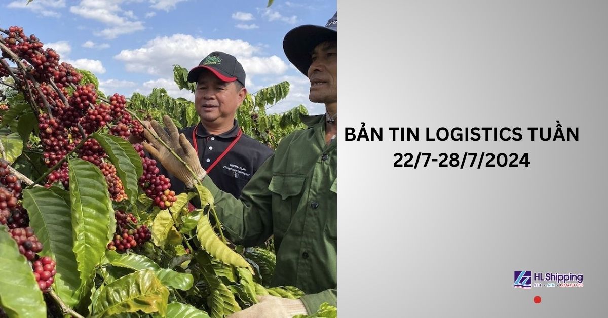 Bản tin tổng hợp logistics tuần 22/7-28/7/2024 - HL Shipping