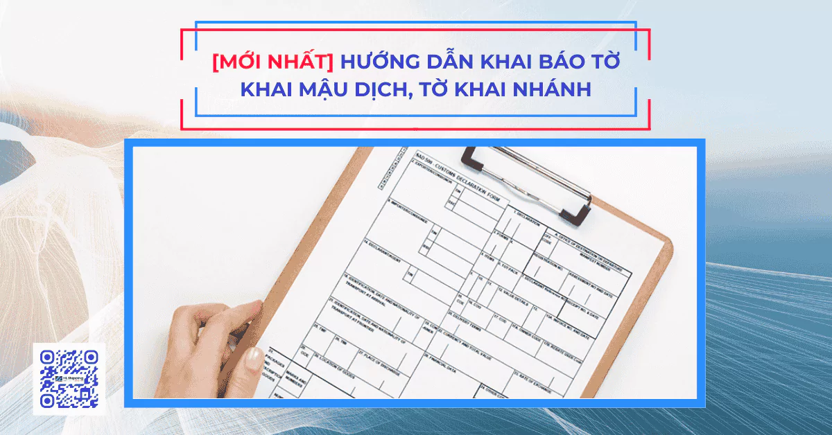 [MỚI NHẤT] Hướng Dẫn Khai Báo Tờ Khai Mậu Dịch, Tờ Khai Nhánh - HL Shipping