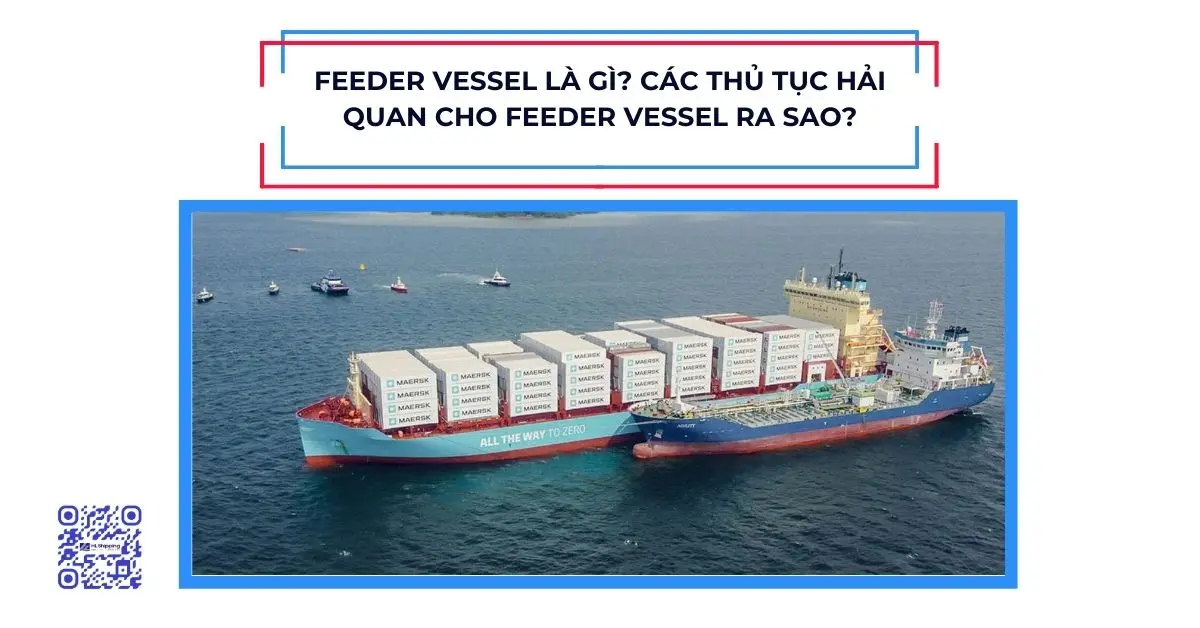 Feeder Vessel là gì? Các thủ tục hải quan cho Feeder Vessel ra sao ...